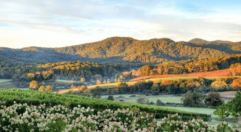 Summer Road Trips Within A Day's Drive From Chattanooga